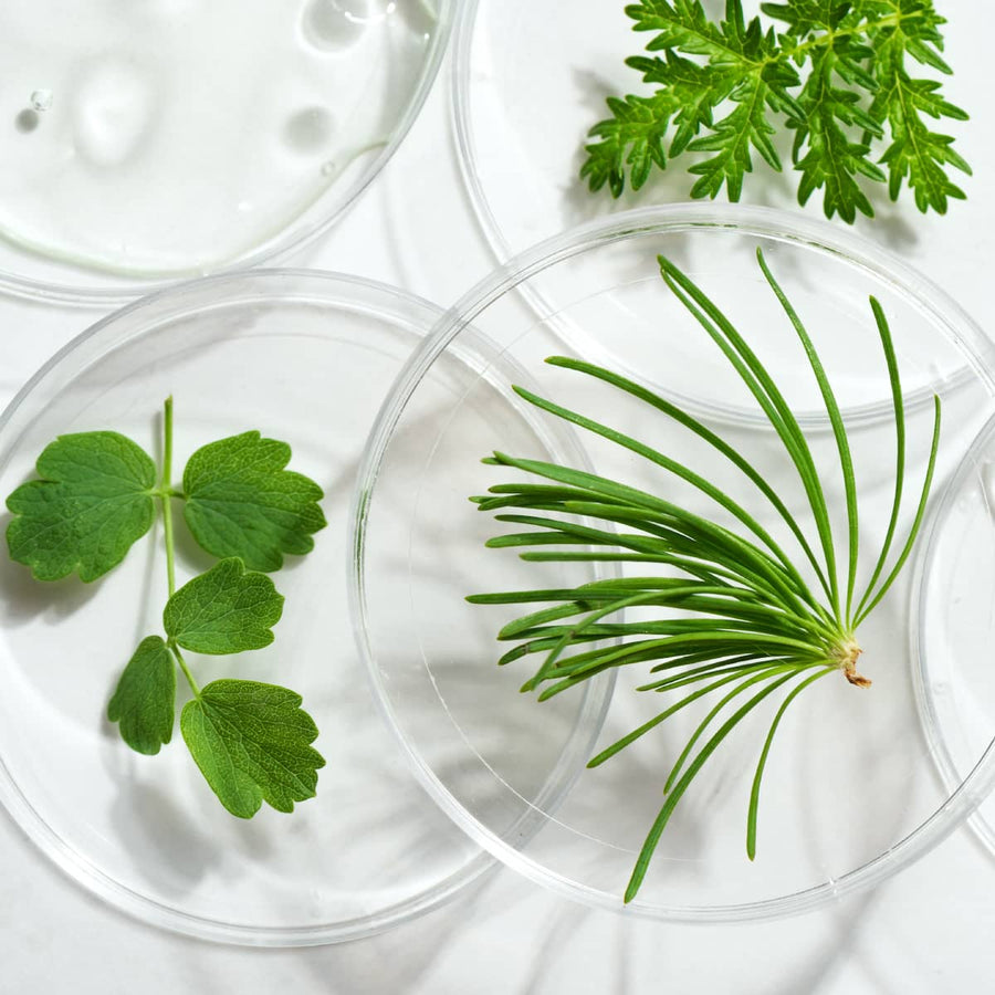Original Swiss Aromatics | Authentic Essential Oils and Aromatherapy