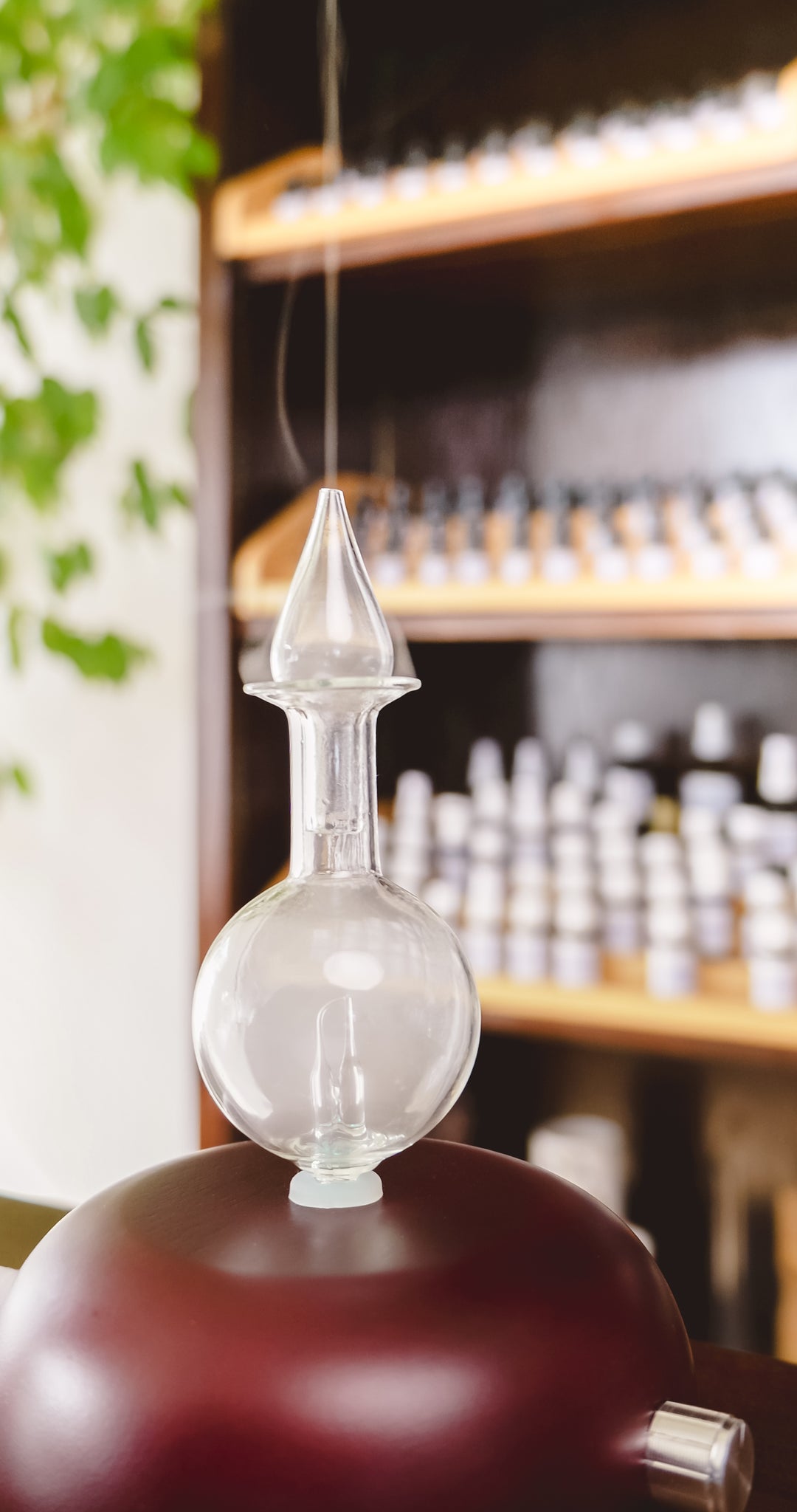 Diffusers and Diffuser Blends – Original Swiss Aromatics